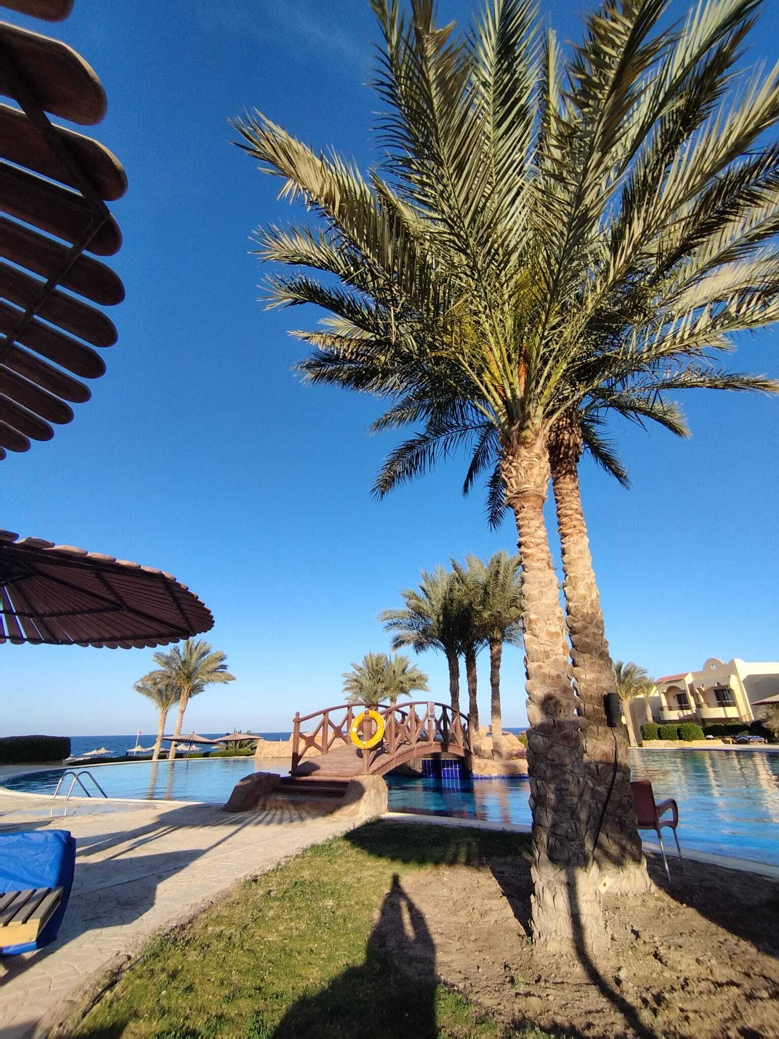 Opinie o hotelu Life Resorts Coral Hills w Egipcie, Marsa El Alam ...