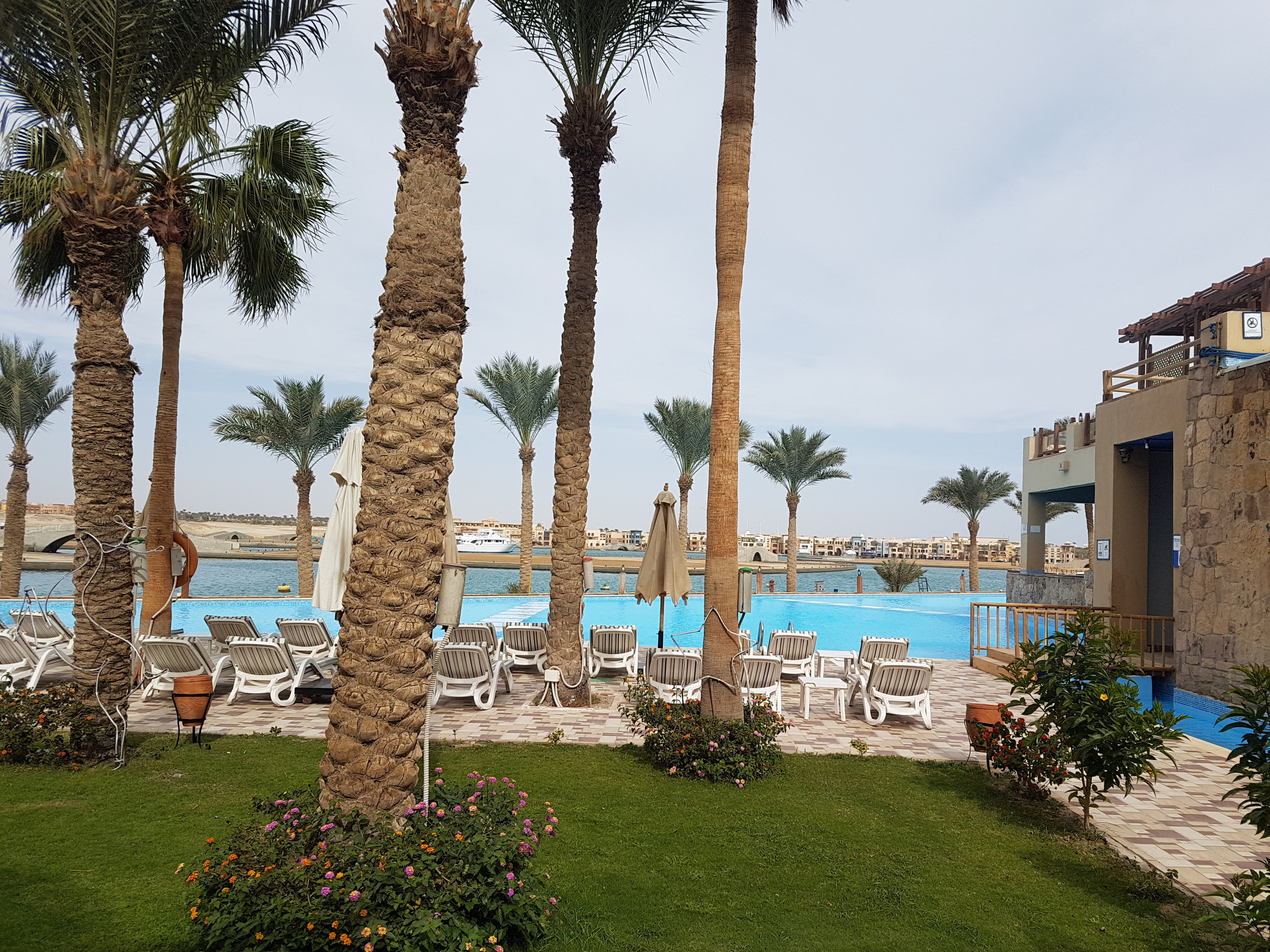 Opinie o hotelu Marina Lodge Port Ghalib w Egipcie, Marsa El Alam ...