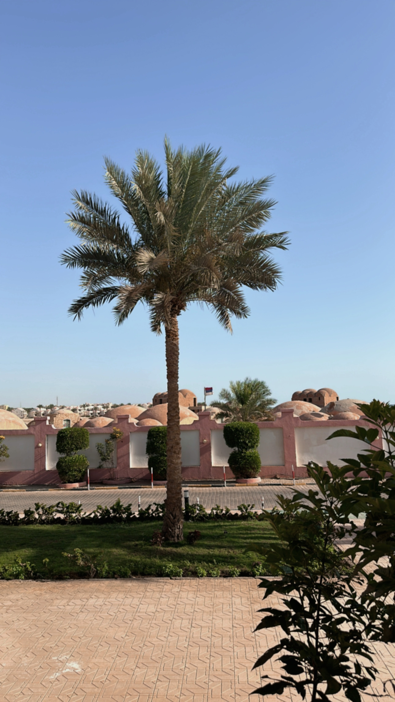 Hotel MG Alexander The Great (ex. Dessole Alexander the Great) - Egipt ...