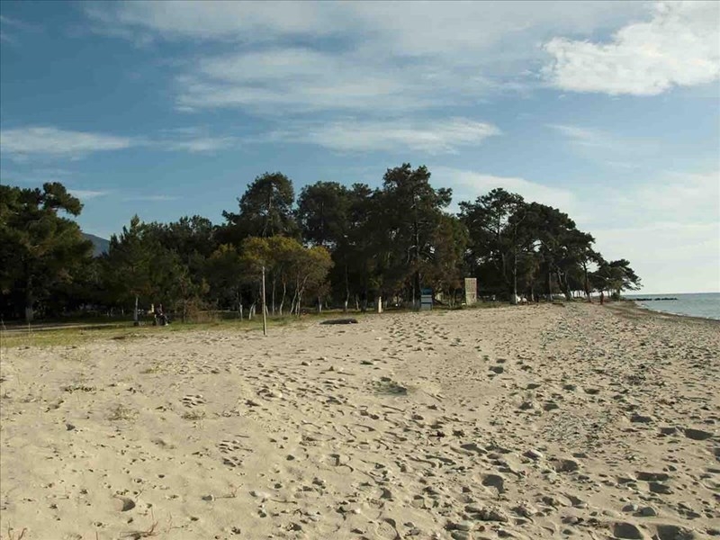 Hotel Vegina - Grecja Thassos na Wakacje.pl