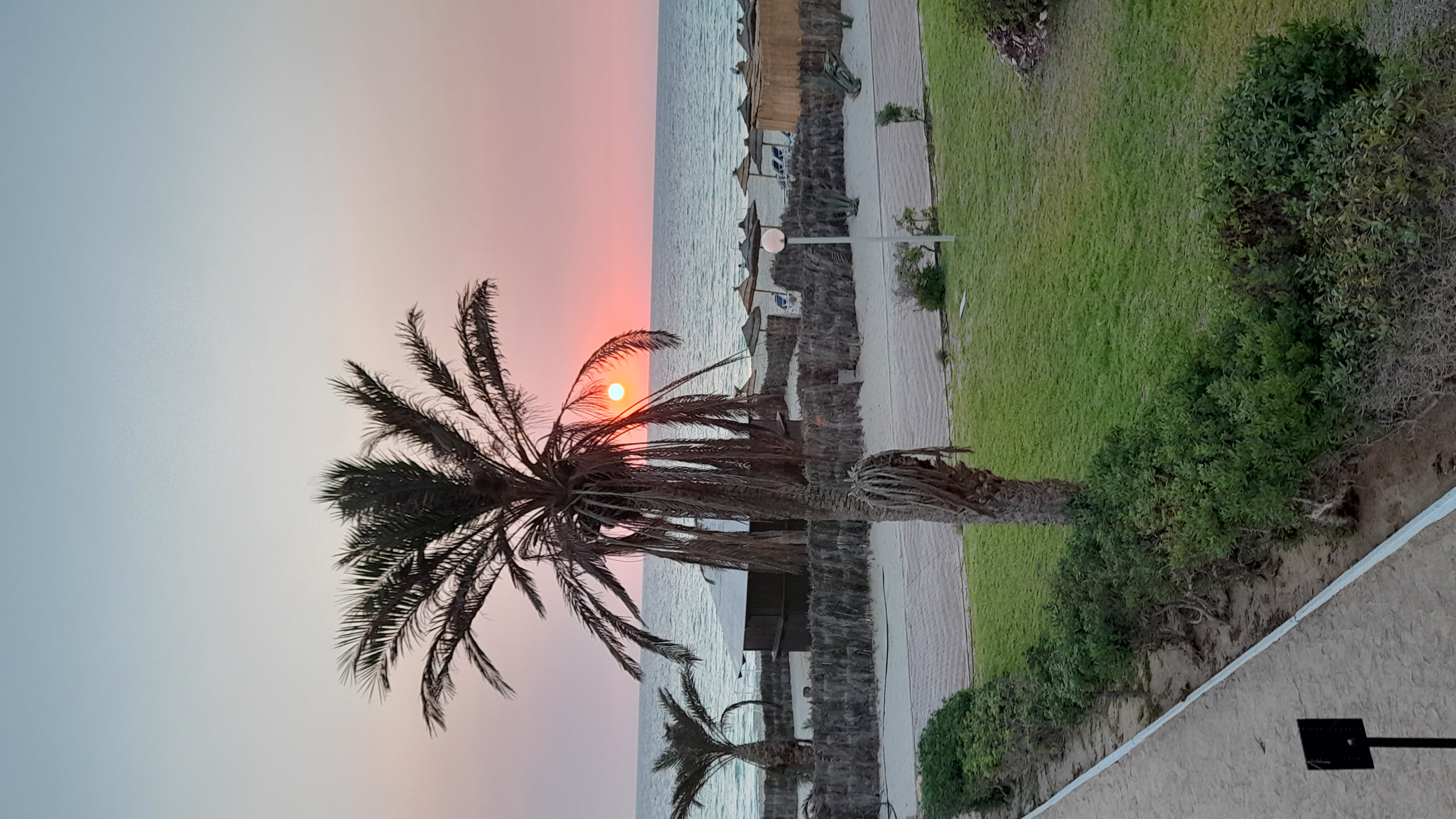 Opinie o hotelu Al Jazira Beach w Tunezji, Djerba - Wakacje.pl