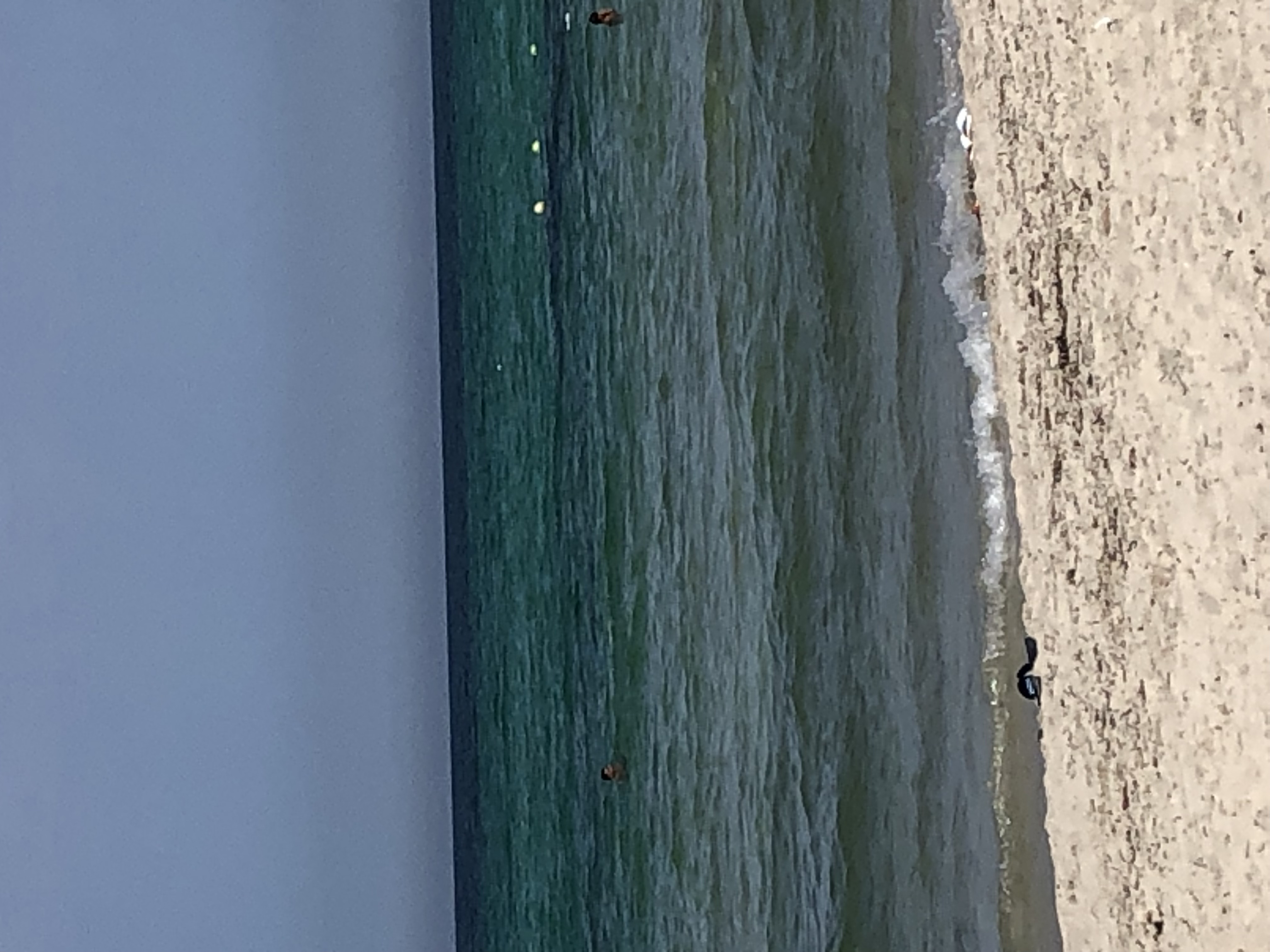 Hotel Baya Beach Aqua Park (ex Les Quatres Saisons) - Tunezja Djerba na ...