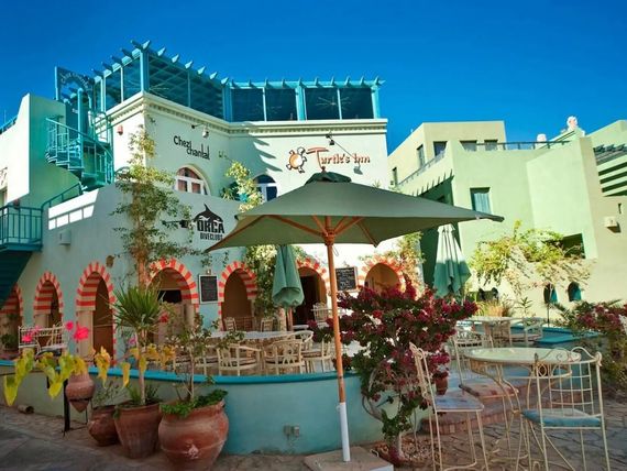 Wakacje w Turtles Inn w Egipcie z Oasis Tours - Wczasy na Wakacje.pl